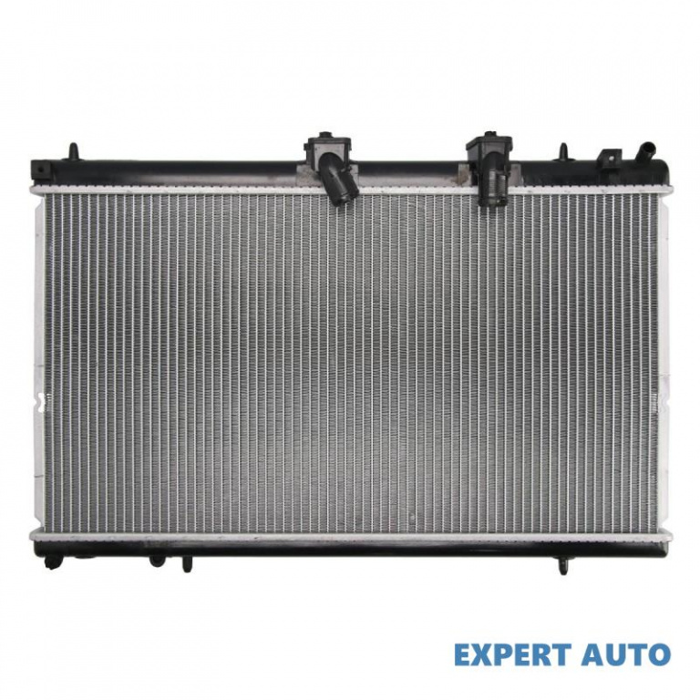 Radiator apa citroen c5 iii - TU alegi prețul!